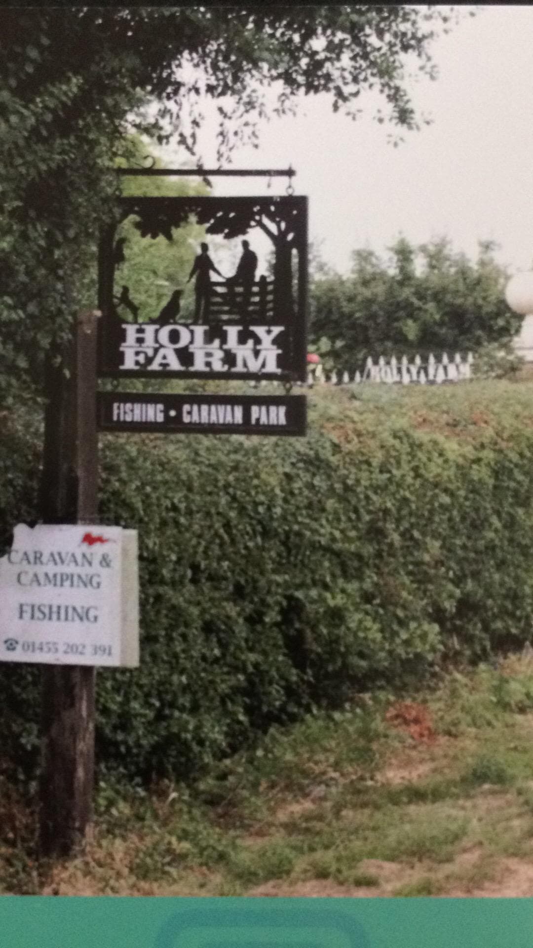 Holly Farm Fishery - Fishing Location in Leicestershire - Details ...