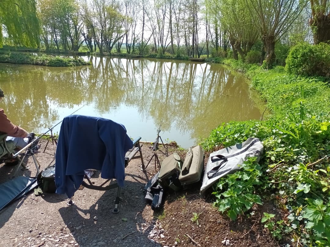 Lands End Fishery - Fishing Location in Somerset - Details, Species & More