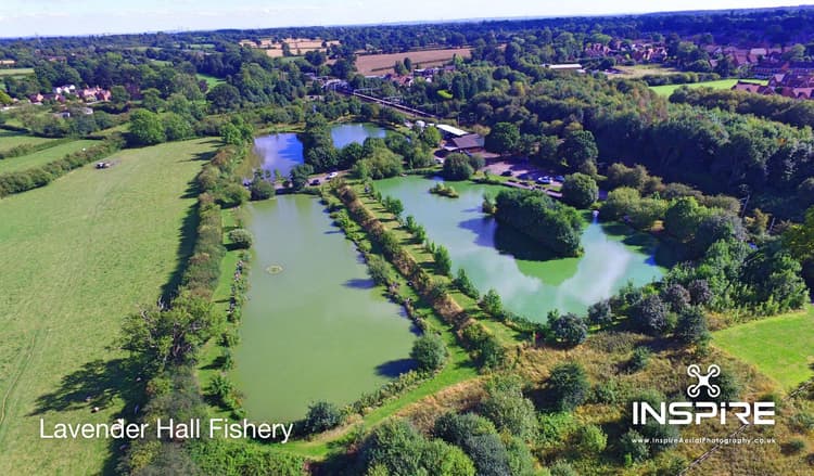 Lavender Hall Fishery - Fishing Location in West Midlands - Details ...