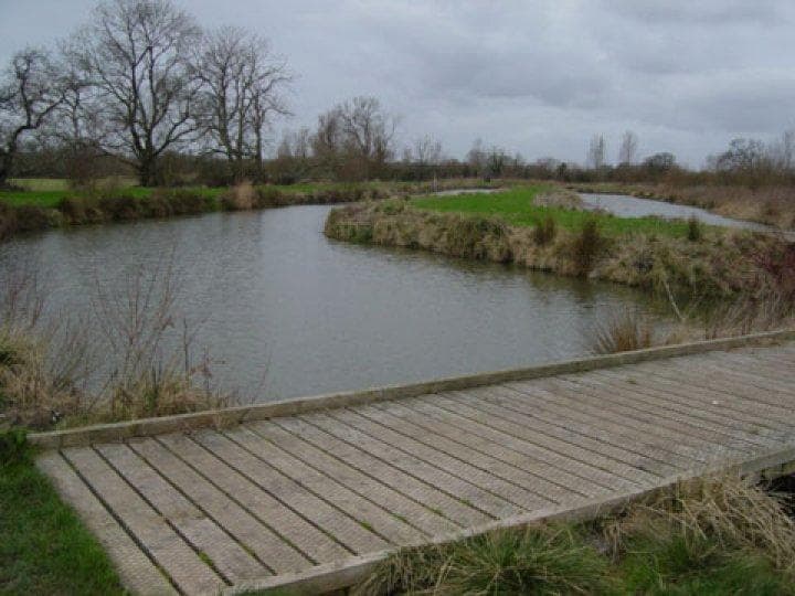 Witherington Farm - Fishing Location in Wiltshire - Details, Species & More