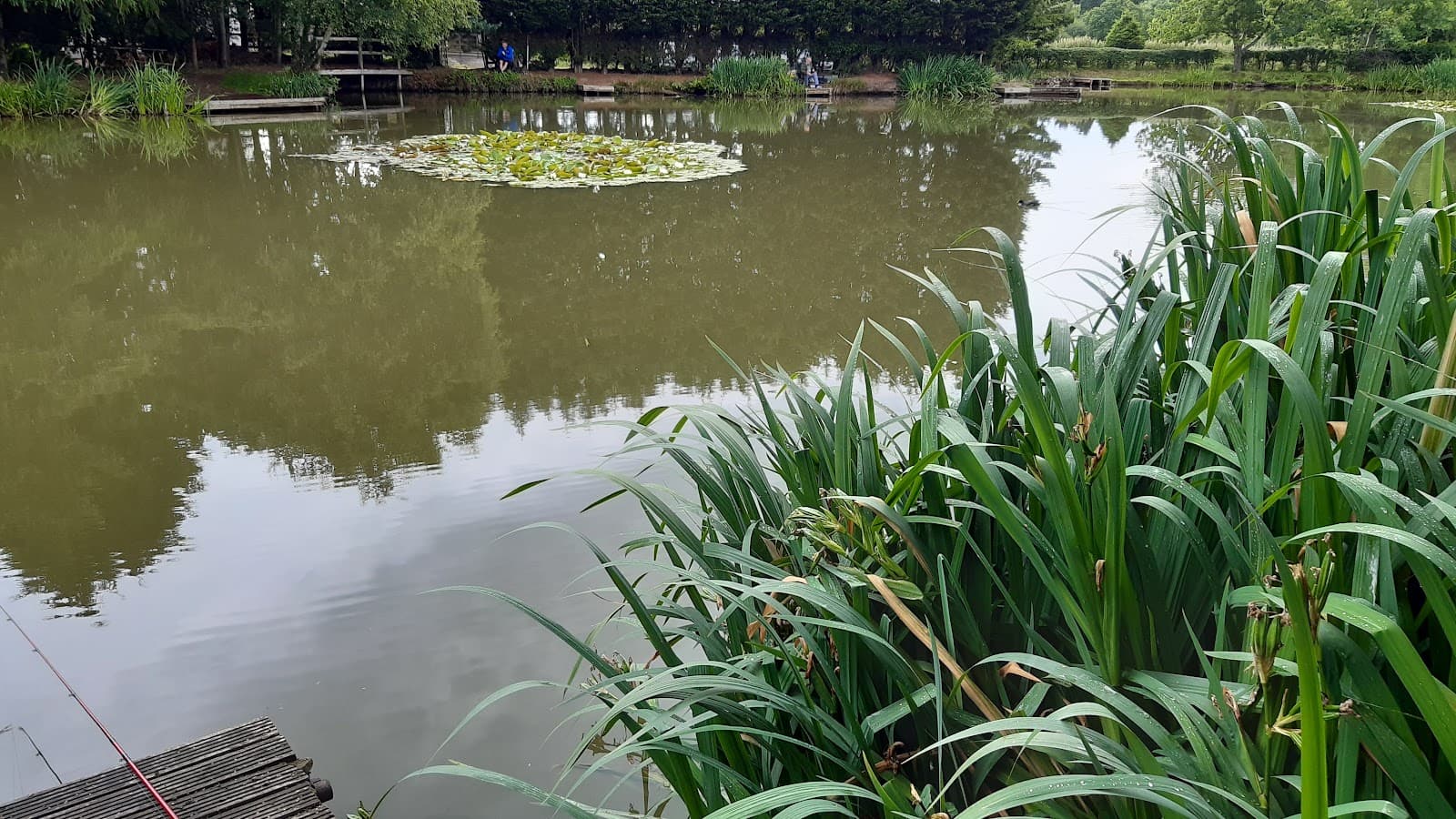 Blundells Fishery - Fishing Location in Cheshire - Details, Species & More