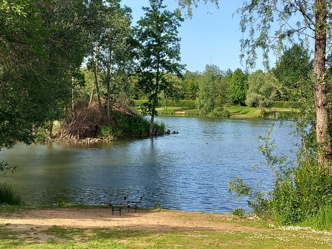 Manor Farm Lakes - Fishing Location in Bedfordshire - Details, Species ...