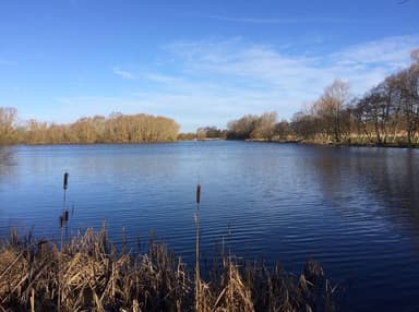 Manor Farm Lakes - Fishing Location in Bedfordshire - Details, Species ...