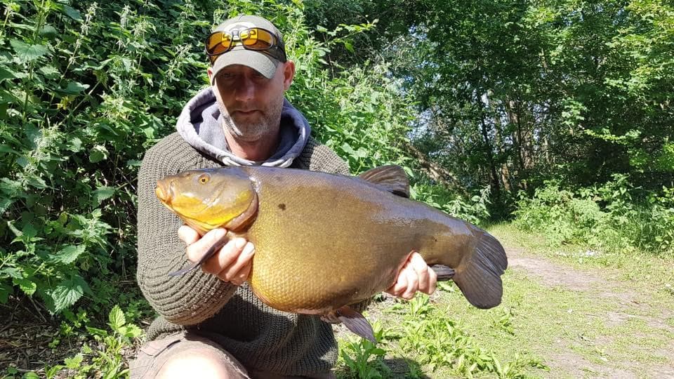 Throop Fisheries - Fishing Location in Dorset - Details, Species & More
