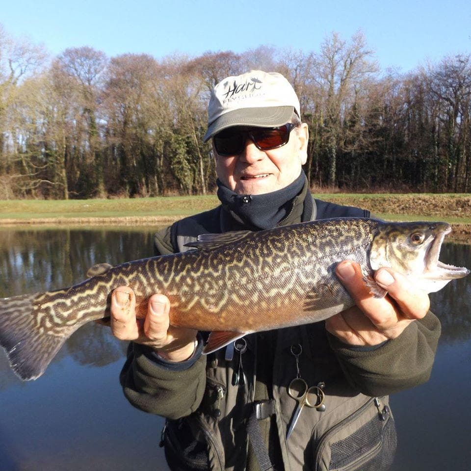 Rockbourne Trout Fishery - Fishing Location in Hampshire - Details ...